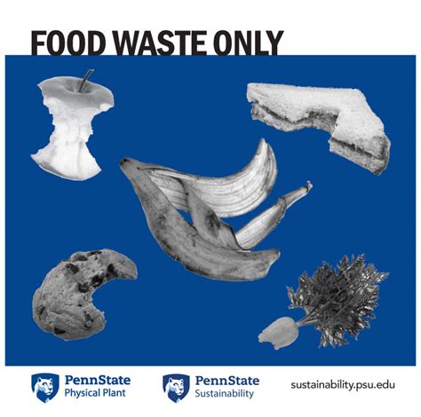 Recycling Composting And Waste At Penn State Penn State Sustainability