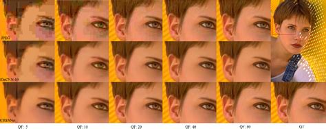 Figure 1 From Blind Jpeg Compression Artifacts Removal By Integrating