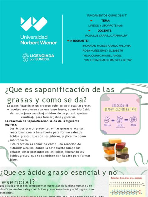 Presentación De Lipidos Y Lipoproteinas Pdf Lípido Bicapa Lipídica