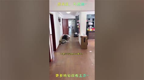 美女老板公司倒闭了？【莫忧忧】 Youtube