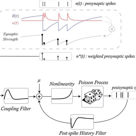 The Modification Function Estimated Using The Generalized Bilinear Download Scientific Diagram
