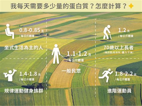 全台缺蛋荒！身體的蛋白質不能少，吃這些相當於幾顆蛋的蛋白質含量？蛋白質攝取不足的七個徵兆跡象！ 💡einfit 雨辰營養師時間👩🏻‍⚕️