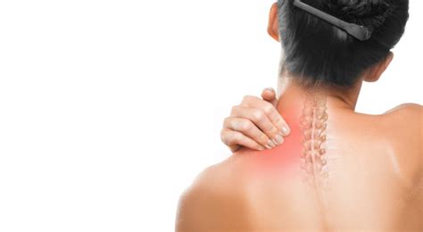 Scapular Retraction And Protraction Exercises All You Need To Know