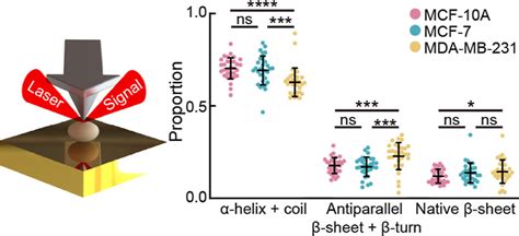 Single Vesicle Infrared Nanoscopy For Noninvasive Tumor Malignancy Diagnosis Exosome RNA