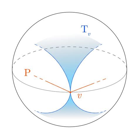 An Example Of A Square Polygonal Section Download Scientific Diagram