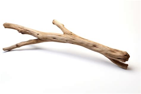 Premium Photo Driftwood Stick Isolated Sea Wood Branch Drift Wood