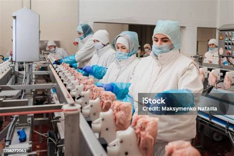 육류 가공 공장 육류 공장의 산업 장비 현대 가금류 가공 공장 닭 공장에서 일하는 사람들 스톡 사진 현대 식품 공장의 자동화 된 생산 라인 20 24세에 대한 스톡 사진 및