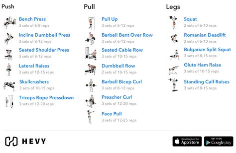 Push Pull Legs Ppl Training Split Ultimate Guide With Routines