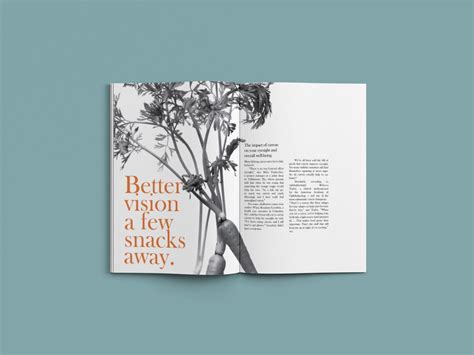 Page Layout On Behance