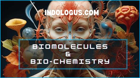 Biomolecules And Bio Chemistry