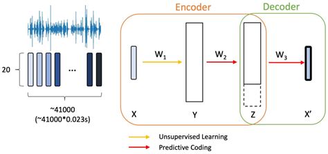 논문 리뷰 Developmental Predictive Coding Model For Early Infancy Mono And Bilingual Vocal