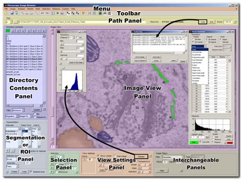 Microscopy Image Browser