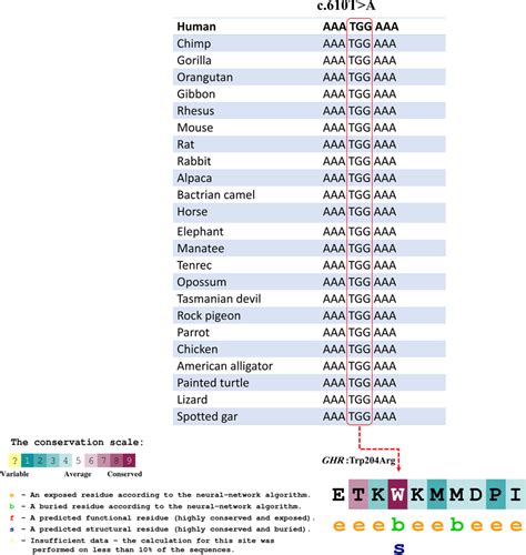 Ucsc Database Was Used To Show The Multiple Sequence Alignment