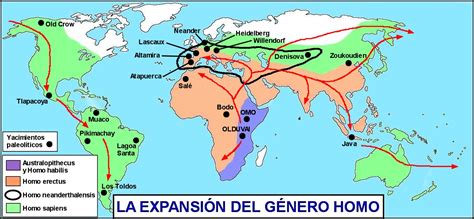 Histogeomapas La ExpansiÓn Del GÉnero Homo
