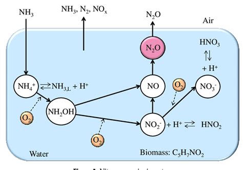 Schematic Representation Of The Biotrickling Filter G Gas Flow Rate