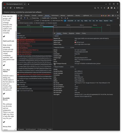 No Style On Some Page · Issue 8116 · Zaproxyzaproxy · Github