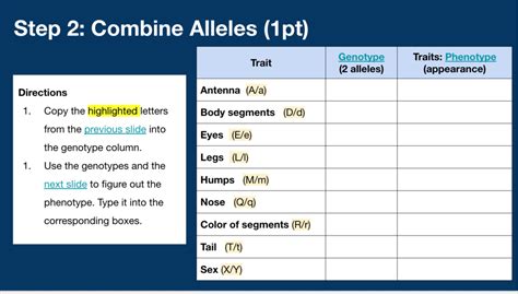 Reebops Nursery Gender Inclusive Genetics Of Independent Assortment Gender Inclusive Biology