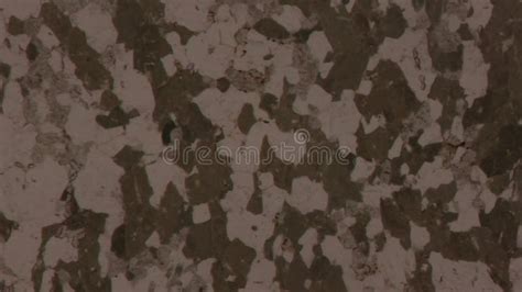 Amphibolite Rock Section Close Up Stock Footage Video Of Light