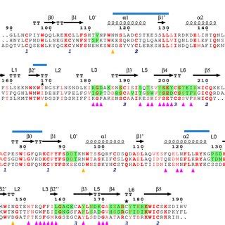 Sequence Alignment Of Human Nkc Encoded Receptor Ligand Pairs Showing