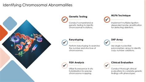 Autism Chromosomes Ppt Summary Acp