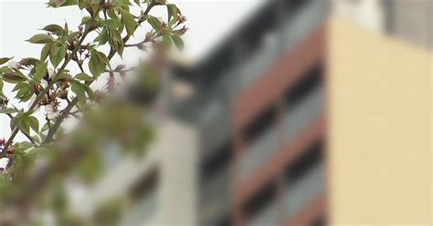 단독 파주 4명 사망 사건 남성들 메시지서 살인 모의 정황구타 의심 흔적도