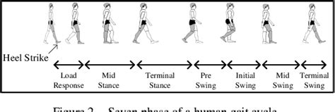 Figure 1 From Deep Autoencoder For Identification Of Abnormal Gait