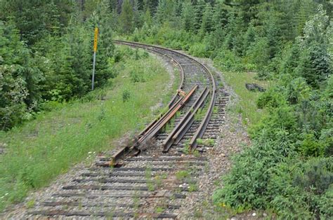 Async Vs Concurrency Vs Multiprocessing Vs Multithreading Level Up Coding