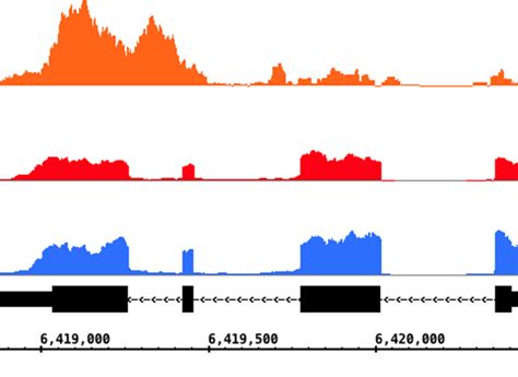 Integrated Genome Browser Fast Flexible And Free Visualization Software For Genes And Genomes