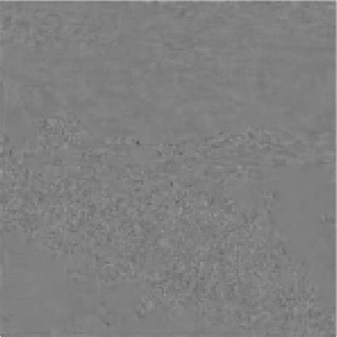 Noise Residuals Of Test Image Jetplane A Traditional Nlm Method