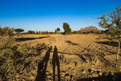 非洲高清图片下载 正版图片505861207 摄图网