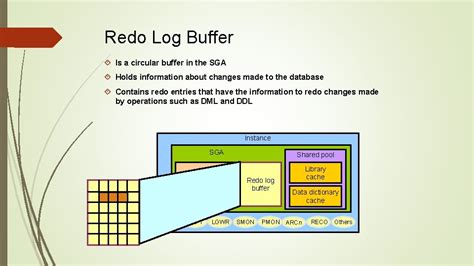 Physical Structure Memory And Process Oracle Database Memory
