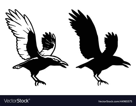 Raven Landing Drawing Flying Raven Images Search Images On
