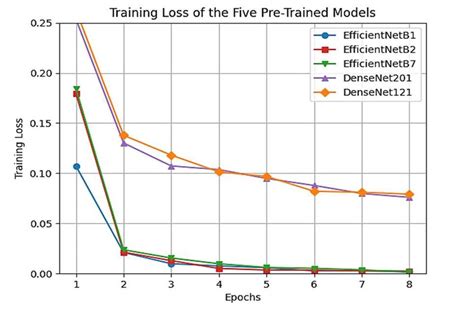 Training Loss Of Efficientnet And Densenet Models Download