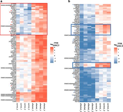 Hierarchically Clustered Heatmaps Showing Gene Expression In