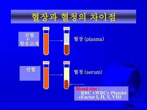 Ppt 혈액검사 Powerpoint Presentation Free Download Id933129