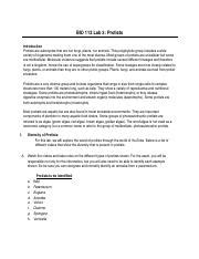 BIO 112 Lab 3 Docx BIO 112 Lab 3 Protists Introduction Protists Are Eukaryotes That Are Not