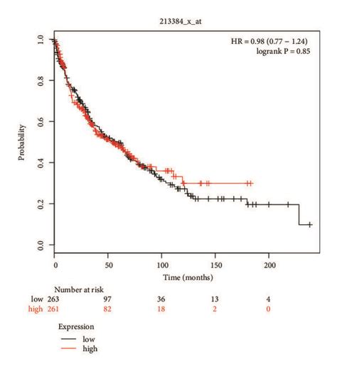 Survival Analysis Of Plcb3 213384xat In Nsclc A Survival