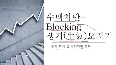 수맥차단수맥피해 및 생기도자기 효능 Youtube