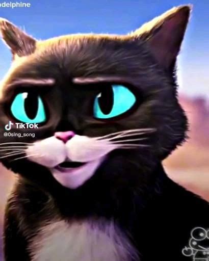 Pin On Il Gatto Con Gli Stivali
