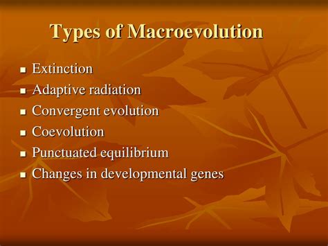 Ppt Chapter 17 The History Of Life Powerpoint Presentation Free