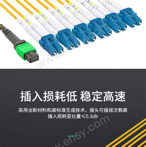 海乐 单模mpo Lc光纤跳线12芯 Os2万兆单模40g转10g 模块用跳纤 45米，mpo S12 Lc 45m【多少钱 规格参数 图片