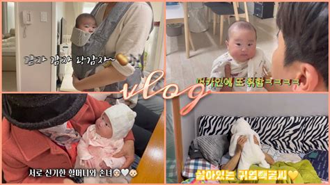 [vlog] 백일 다음날의 하루 가족외식 강아지 우주 소개하기 혼자 아기띠 매는법 기저귀가방 챙기기 아기빨래