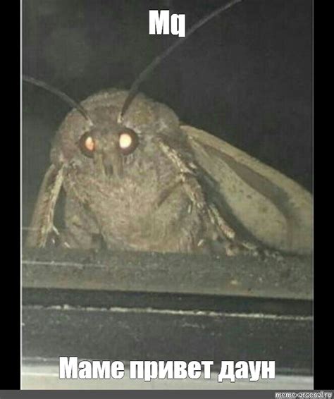 Meme Mq Маме привет даун All Templates Meme