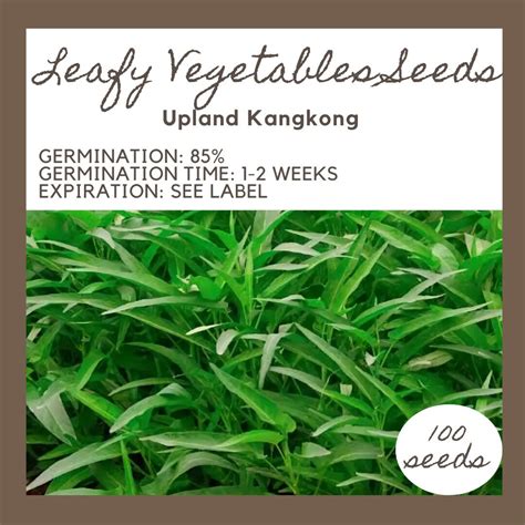Kangkong Seeds 100pcs Per Pack Upland Kangkong Variant Lazada Ph