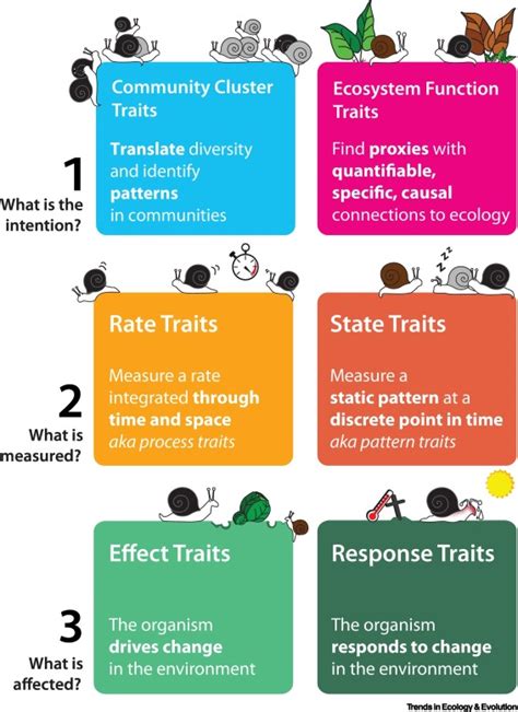 To Harness Traits For Ecology Lets Abandon ‘functionality Trends In