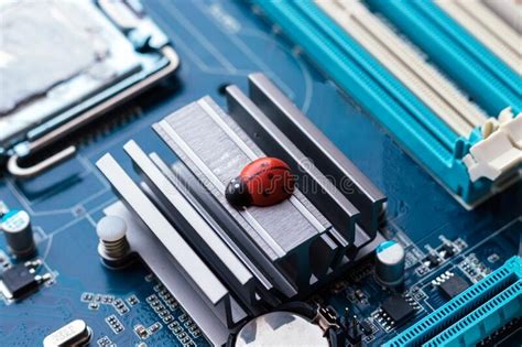 Little Red Ladybug On A Blue Motherboard Concept Of Computer Virus Or