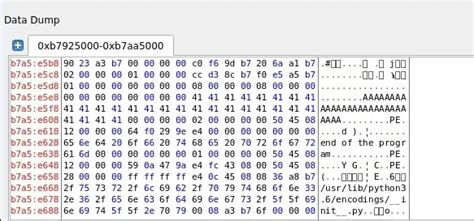 Buffer Overflow — Linux Process — Stack Creation And Inspection Life