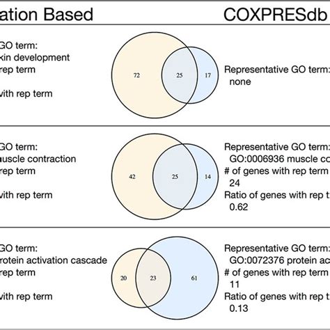 Examples Of Gene Network Inference Algorithms Download Table
