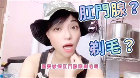 狗狗真的需要被擠肛門腺和剃毛嗎 Youtube