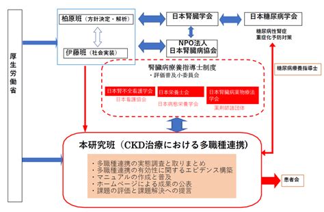 慢性腎臓病 CKD 患者に特有の健康課題に適合した多職種連携による生活食事指導等の実証研究